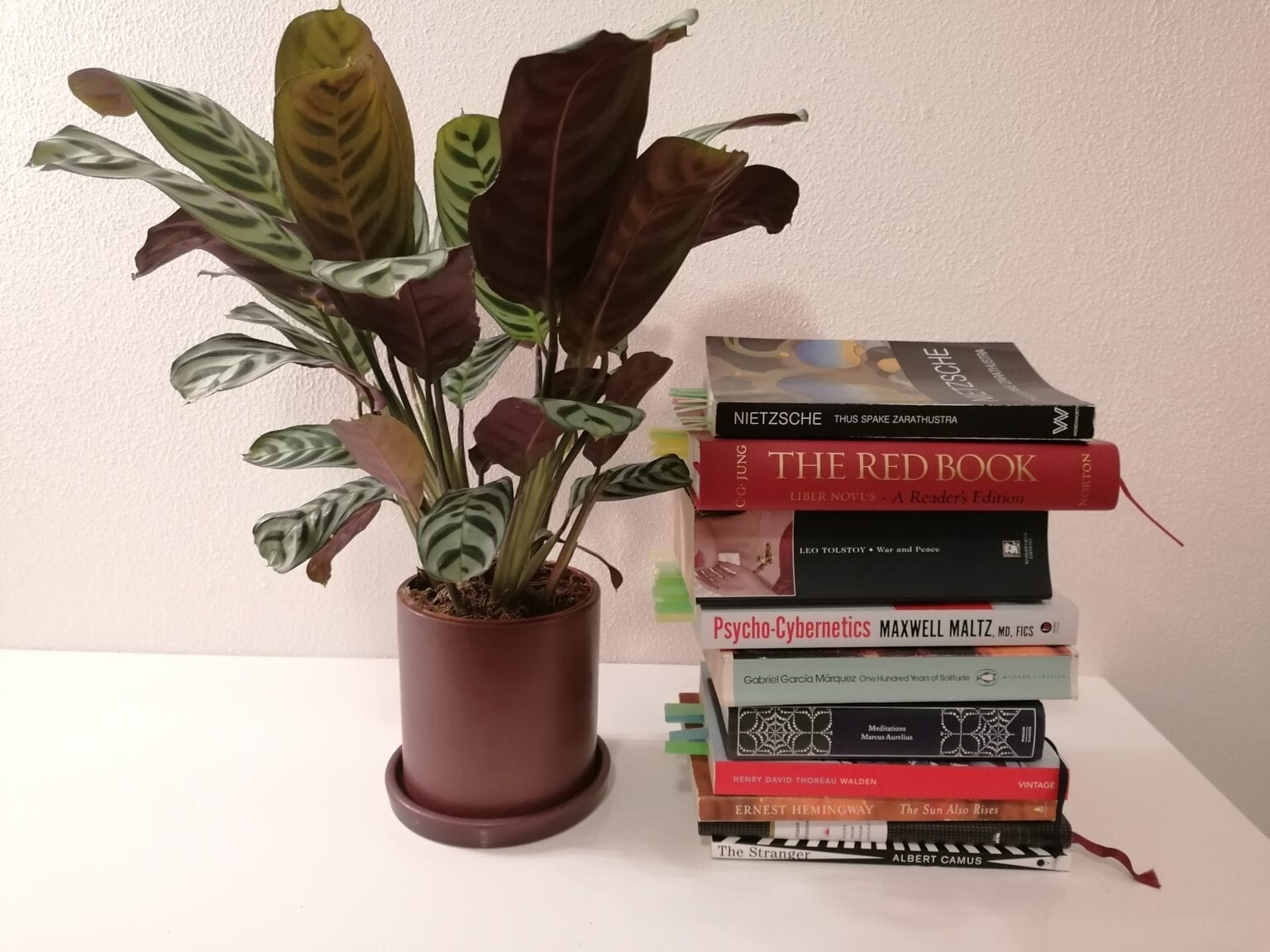 Top 10 best books Ever written. What is your top 10?